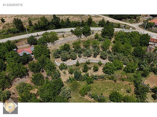 FETHIYE NIFTE 1021 m2 MÜSTAKİL TAPULU YETİŞKİN AĞAÇLI - Satılık Arsa ...