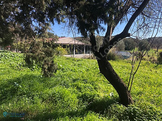 PREMAR DATÇA KIZLAN'da 378m2 YERLEŞİME ÇOK YAKIN BADEMLİK - Satılık ... PREMAR DATÇA KIZLAN'da 378m2 YERLEŞİME ÇOK YAKIN BADEMLİK - Satılık ...