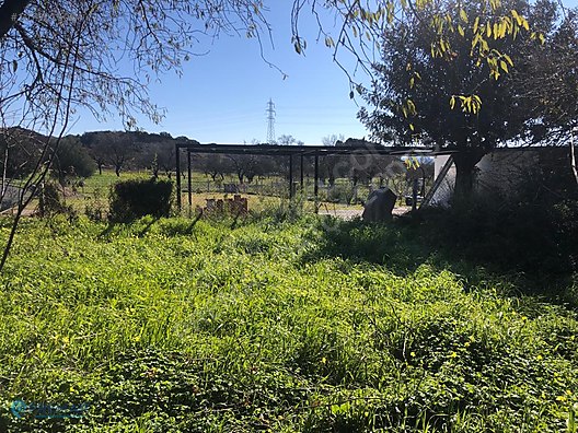 PREMAR DATÇA KIZLAN'da 378m2 YERLEŞİME ÇOK YAKIN BADEMLİK - Satılık ... PREMAR DATÇA KIZLAN'da 378m2 YERLEŞİME ÇOK YAKIN BADEMLİK - Satılık ...