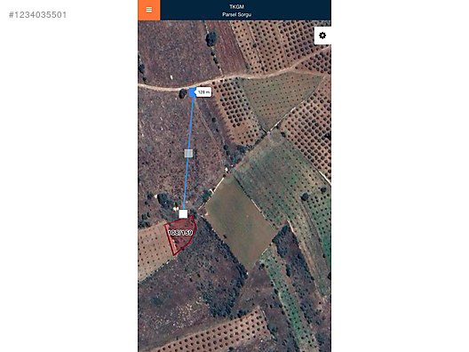 AYDIN, KARACASU'DA SAHİBİNDEN TEK TAPU ZEYTİNLİK TARLA 798 m2 - Satılık Arsa İlanları sahibinden ...