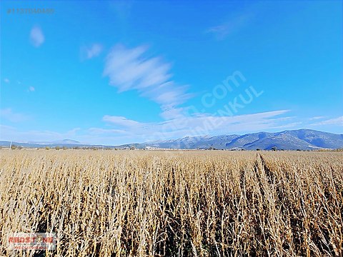 REDSTONE MYRA dan TAVAS ta SATILIK TARLA - Satılık Arsa İlanları ...