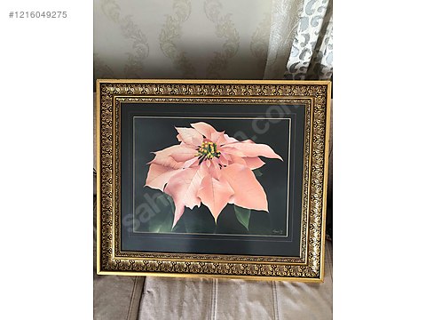 Eski resim sahibinden.comda - 1216049275