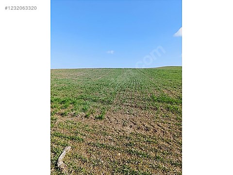 1807M TEK TAPU TARLA RESMİ YOL VAR - Satılık Arsa İlanları sahibinden ...