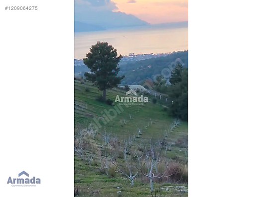 CAFERLİ KÖYÜNDE FULL DENİZ MANZARALI YATIRIMLIK ARAZİ - Satılık Arsa ...