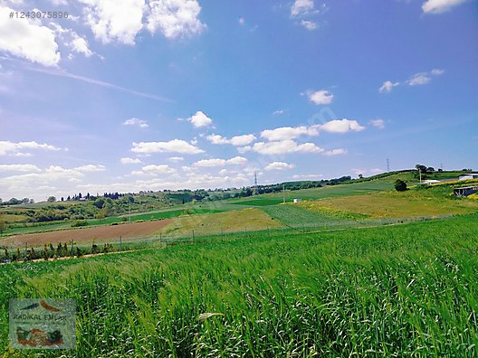 ÖRENTEPE KÖYÜNDE RESMİ YOLA CEPHELİ KÖY MANZARALI SATILIK TARLA ...