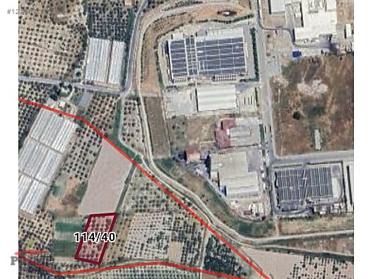 ORTAKLAR GÜMÜŞKÖY'DE SATILIK 6.200 M2 ZEYTİNLİK FİYATTA İNDİRİM - Satılık Arsa İlanları ...