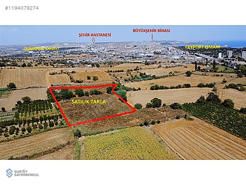 ŞEHİR MERKEZİNE YAKIN PLAN BİTİŞİĞİ SATILIK TARLA - Satılık Arsa ...