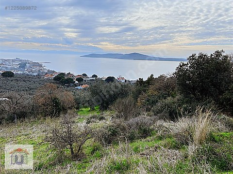 ERDEK NARLI DA SATILIK ZEYTİNLİK - Satılık Arsa İlanları sahibinden.com ...