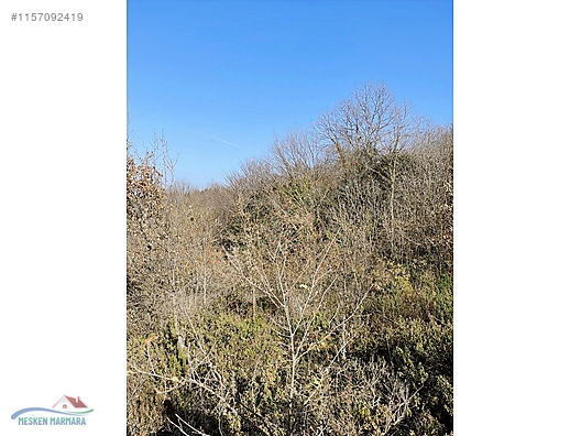 KABAKLI DA 2500 M2 FULL DENİZ MANZARALI TARLA - Satılık Arsa İlanları ...