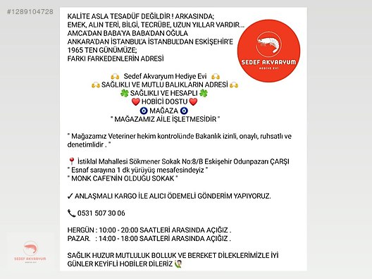 Amerikan Tetraları / Diğer Türler / BEYAZ BULUT DAĞI TETRA BÜYÜK BOY ...