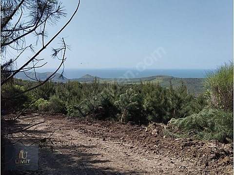 MUDANYA TRİLYE TALAT BEY 3.500 M2 FIRSATT MANZARALI YOLA CEPHE ...