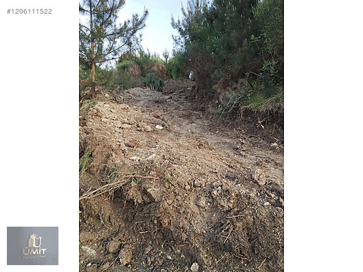 MUDANYA TRİLYE TALAT BEY 3.500 M2 FIRSATT MANZARALI YOLA CEPHE ...