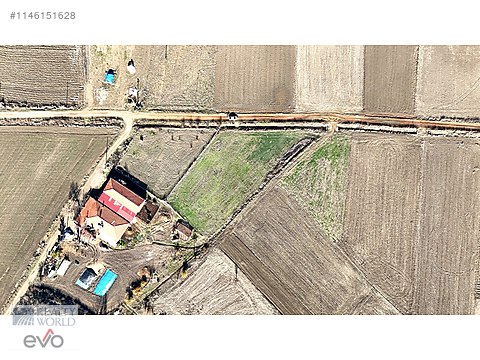 Ali KARTAL'dan Denizli Tavas Solmaz Köyünde Yol Cepheli Tarla - Satılık ...