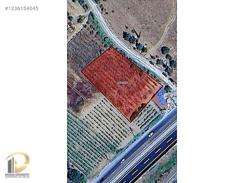 DAMGA'DAN 2350 MT2 PAMUKOVADA ARSA - Satılık Arsa İlanları sahibinden ...