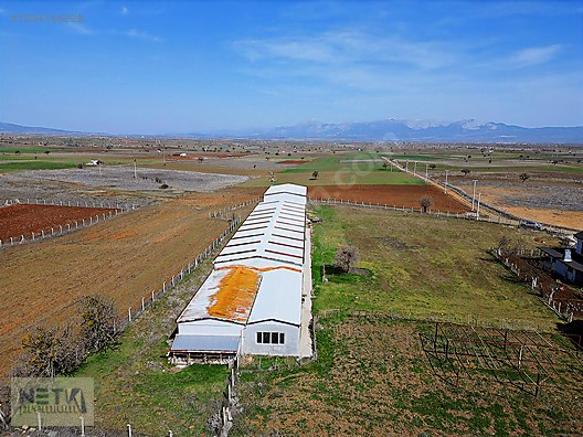 NET PREMİUM'DAN TAVAS ANA ASFALT'DA MUHTEŞEM ÇİFTLİK - Satılık Arsa ...