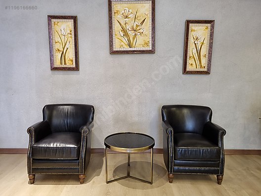 HAKİKİ DERİ MİNİ BERJER - Berjer, Tekli Koltuk İlanları sahibinden.com'da - 1196166660