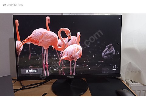 ACİL! Asus VP249 75Hz sahibinden.comda - 1230168805