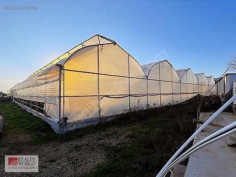 REALTY WORLD ALYANS'TAN SATILIK 5935 M2 SERA - Satılık Arsa İlanları ...