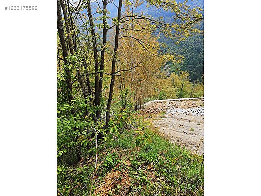 Batuhan Bal'dan Kartepe'de Satılık Asfalt Yola Cephe - Satılık Arsa İlanları sahibinden.com'da ...