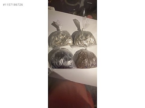 Filitre malzemeleri EHEIM sump sistem 4 paket sahibinden.comda - 1157186726