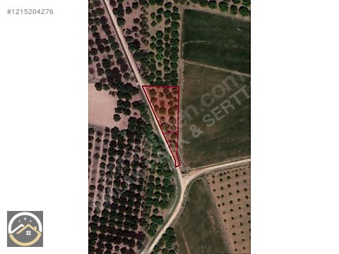 HAVA LİMANI KARŞISINDA YAN YANA İKİ ADET SULU ve EKİLİ TARLA - Satılık ...