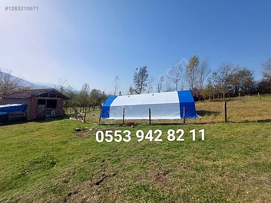 Hindi / FULL ERKEK VE DİŞİ AMERİKAN BRONZ HİNDİLERİMİZ 4_5KG ÜZERİ HER ...