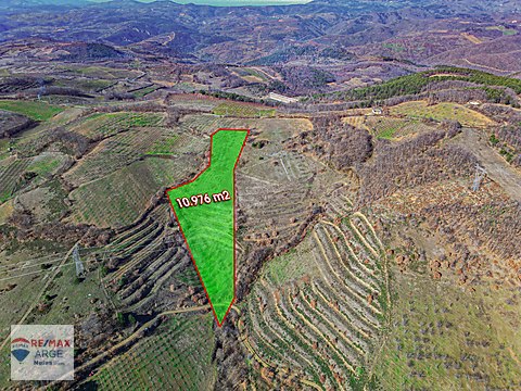 BURSA İZNİK TACİR KÖYÜNDE 10.976m2 MANAV GİBİ TARLA SATILIK! - Satılık ...