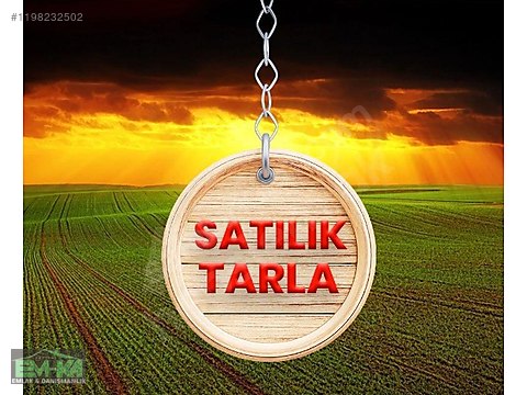 EM-KA'DAN TAVAS ULUKENT'TE SATILIK 20 YILLIK CEVİZ BAHÇESİ - Satılık ...