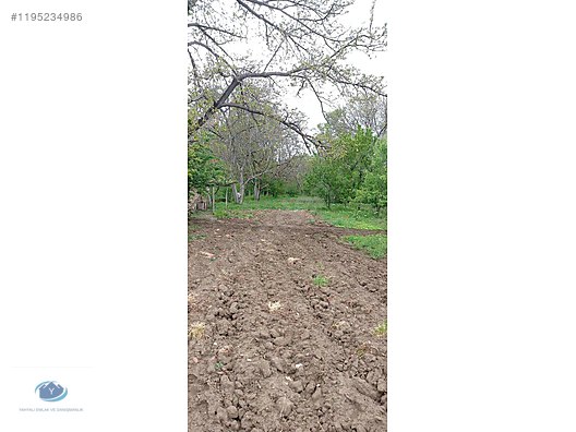 YAHYALI EMLAKTAN MUSTAFA BEYLİ CEVİZ ELMA BAHCEMİZ SATILIKTIR - Satılık ...