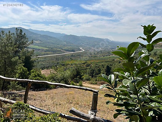 KAYNARCA ALAKAYADA İÇİNDE BAĞEVİ OLAN 3000M2 CEVİZ HURMA BAHÇESİ ...
