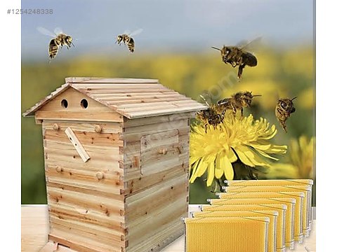 ari kovani sahibinden.comda - 1254248338