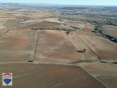 OTOYOL'A KOMŞU, RESMİ YOLU MEVCUT TARLA - B.ESKİ NACAK 57.700 M2 - Satılık Arsa İlanları ...