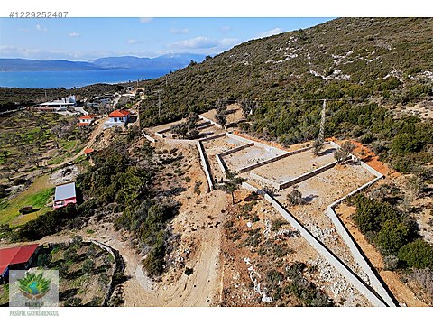 PASİFİK'TEN ÖZBEK AKKUMDA KÖK HİSSE TAPUDAN DEVİR PARSELLER - Satılık ...