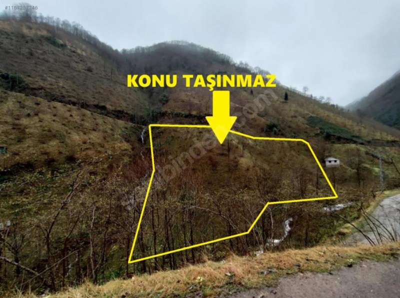 TRABZON ORTAHİSAR'DA SATILIK FINDIK BAHÇESİ - Satılık Arsa İlanları ... TRABZON ORTAHİSAR'DA SATILIK FINDIK BAHÇESİ - Satılık Arsa İlanları ...