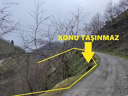 TRABZON ORTAHİSAR'DA SATILIK FINDIK BAHÇESİ - Satılık Arsa İlanları ... TRABZON ORTAHİSAR'DA SATILIK FINDIK BAHÇESİ - Satılık Arsa İlanları ...