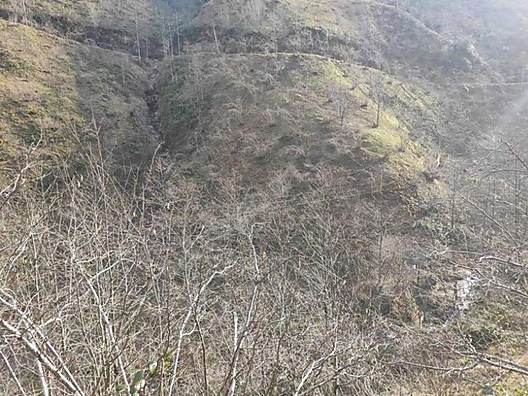 TRABZON ORTAHİSAR'DA SATILIK FINDIK BAHÇESİ - Satılık Arsa İlanları ... TRABZON ORTAHİSAR'DA SATILIK FINDIK BAHÇESİ - Satılık Arsa İlanları ...
