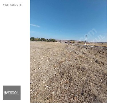 KARA ALAN MAHALLESİNDE ANA ASFALT YOLA CEPHELİ SATILIK TARLA - Satılık ...