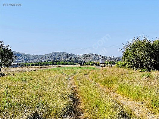 ARAZİ UZMANINDAN MİLASIN GÖZDESİ TUZABAT'TA 1.100m2 TARLA - Satılık ...