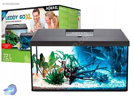 İstanbul Küçükçekmece GUPPY CENTER Hayvanlar Alemi ilanları sahibinden ...