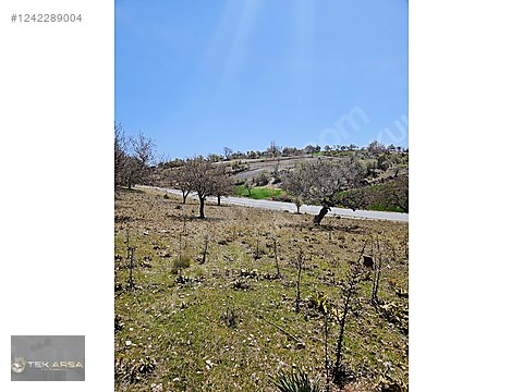 TEK ARSA`dan DENİZLİ TAVAS GÖKÇELER KÖYÜNDE 332 mt2 MÜSTAKİL - Satılık ...