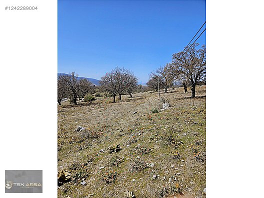 TEK ARSA`dan DENİZLİ TAVAS GÖKÇELER KÖYÜNDE 332 mt2 MÜSTAKİL - Satılık ...