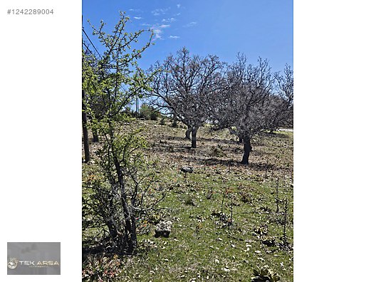 TEK ARSA`dan DENİZLİ TAVAS GÖKÇELER KÖYÜNDE 332 mt2 MÜSTAKİL - Satılık ...