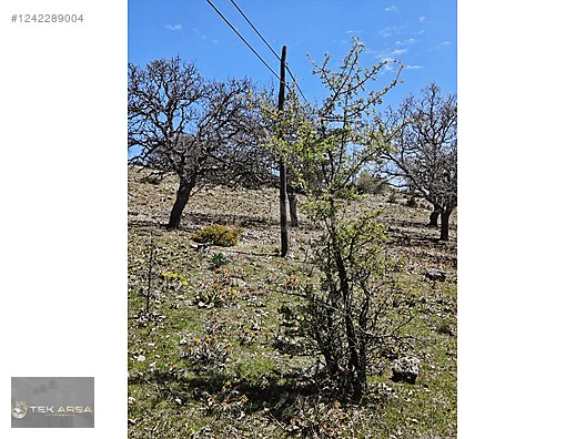 TEK ARSA`dan DENİZLİ TAVAS GÖKÇELER KÖYÜNDE 332 mt2 MÜSTAKİL - Satılık ...
