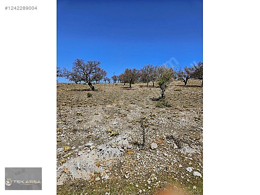 TEK ARSA`dan DENİZLİ TAVAS GÖKÇELER KÖYÜNDE 332 mt2 MÜSTAKİL - Satılık ...