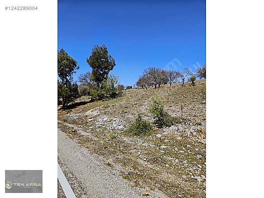 TEK ARSA`dan DENİZLİ TAVAS GÖKÇELER KÖYÜNDE 332 mt2 MÜSTAKİL - Satılık ...