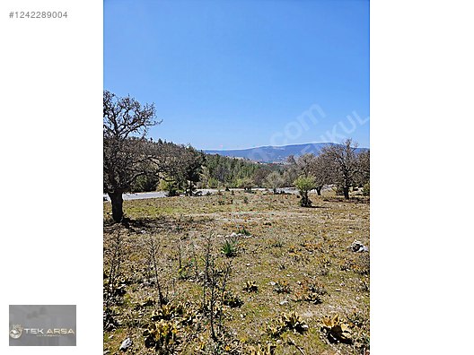 TEK ARSA`dan DENİZLİ TAVAS GÖKÇELER KÖYÜNDE 332 mt2 MÜSTAKİL - Satılık ...