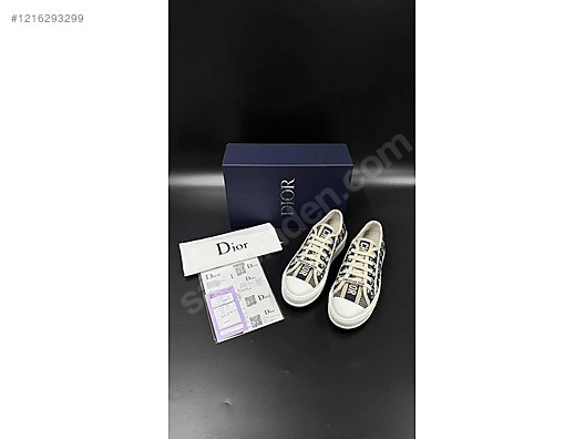 Dior canvas store