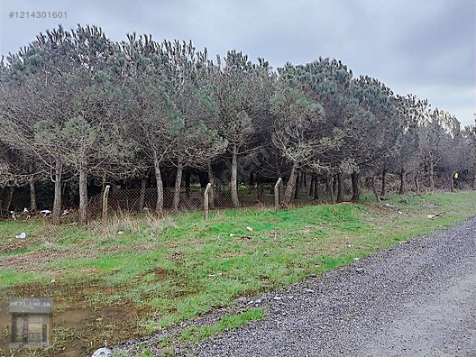 OVAYENİCE MAH. 19680 M SATILIK TARLA (ELEKTRİK-SU-DOGALĞAZ . V.S - Satılık Arsa İlanları ...