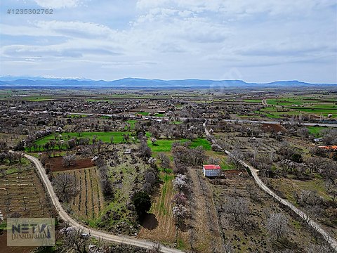 NET PREMİUM'DAN TAVAS KARAHİSAR'DA SATILIK BAĞLAR - Satılık Arsa ...