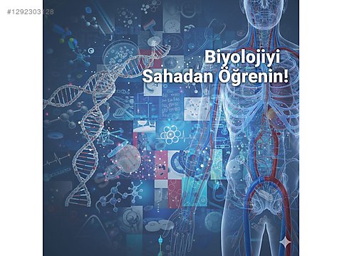 Biyolojiyi Ezberleme, Mantığını Kavra! | Özel biyoloji dersi sahibinden ...